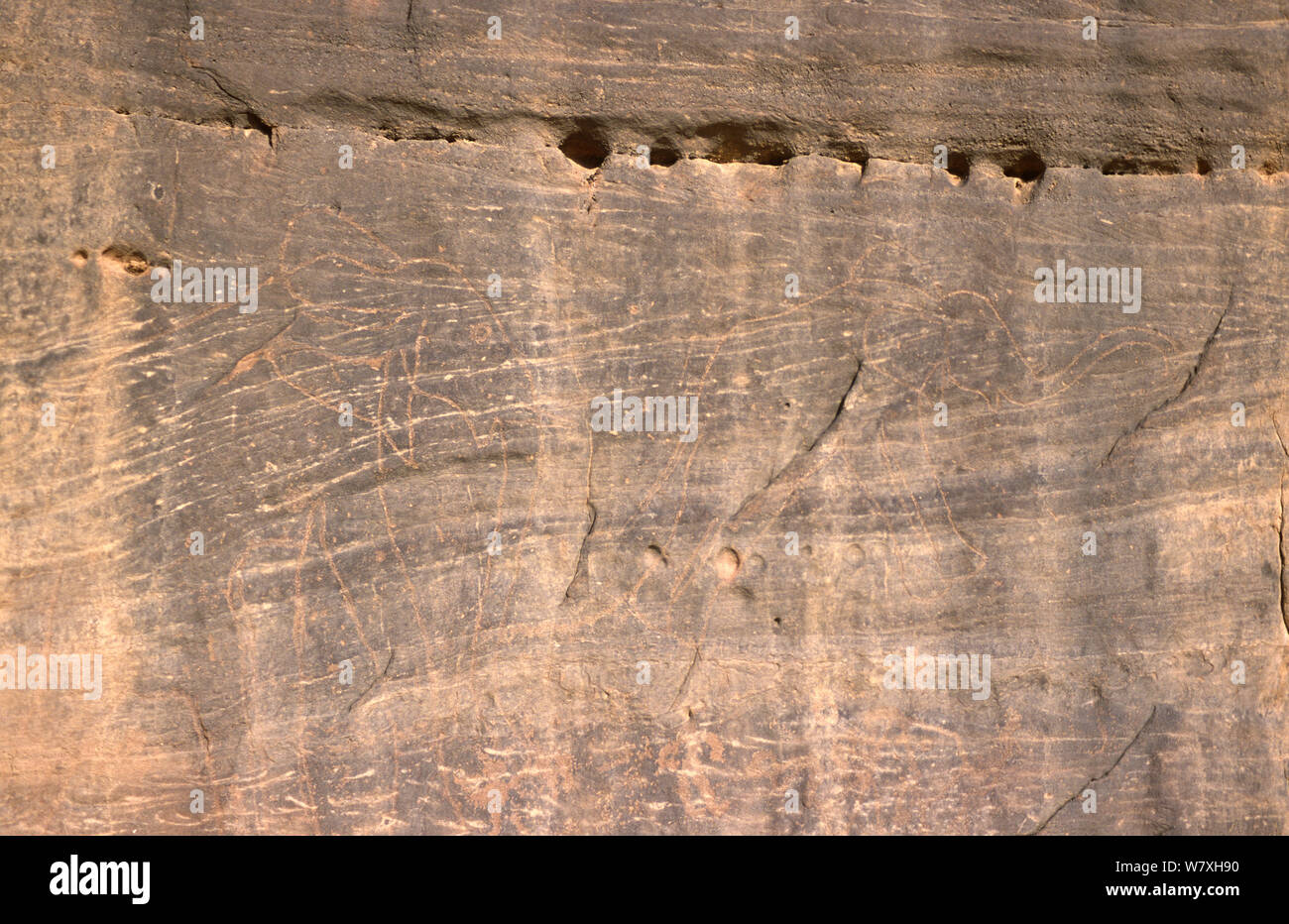 Niger rock art hi-res stock photography and images - Alamy