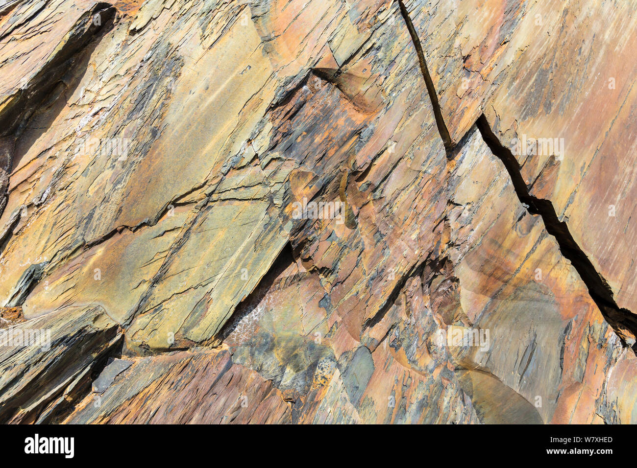 Pyrite crack hi-res stock photography and images - Alamy