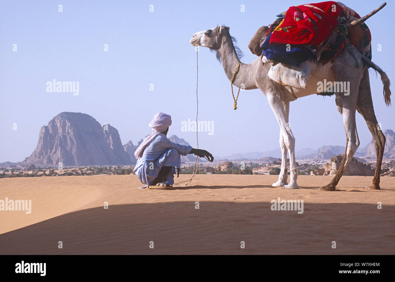Bede, a Toubou guide, with camel crossing the Sahara, Niger, 2005 Stock ...