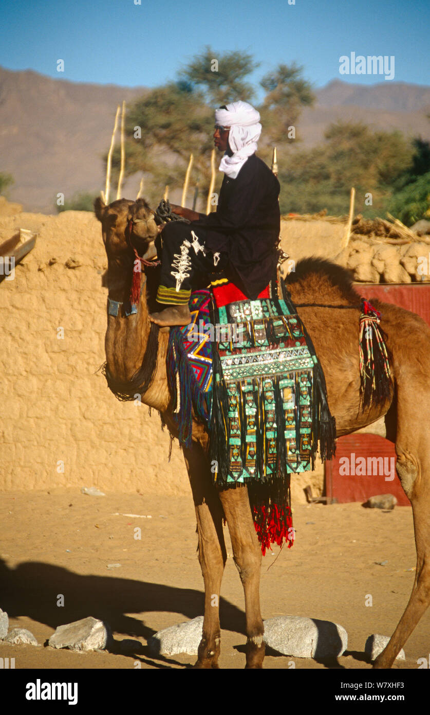 Tuaregs riding camel hi-res stock photography and images - Alamy