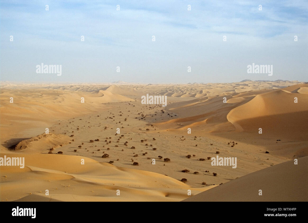 Landscape of the central Sahara desert, Niger, 2004 Stock Photo - Alamy