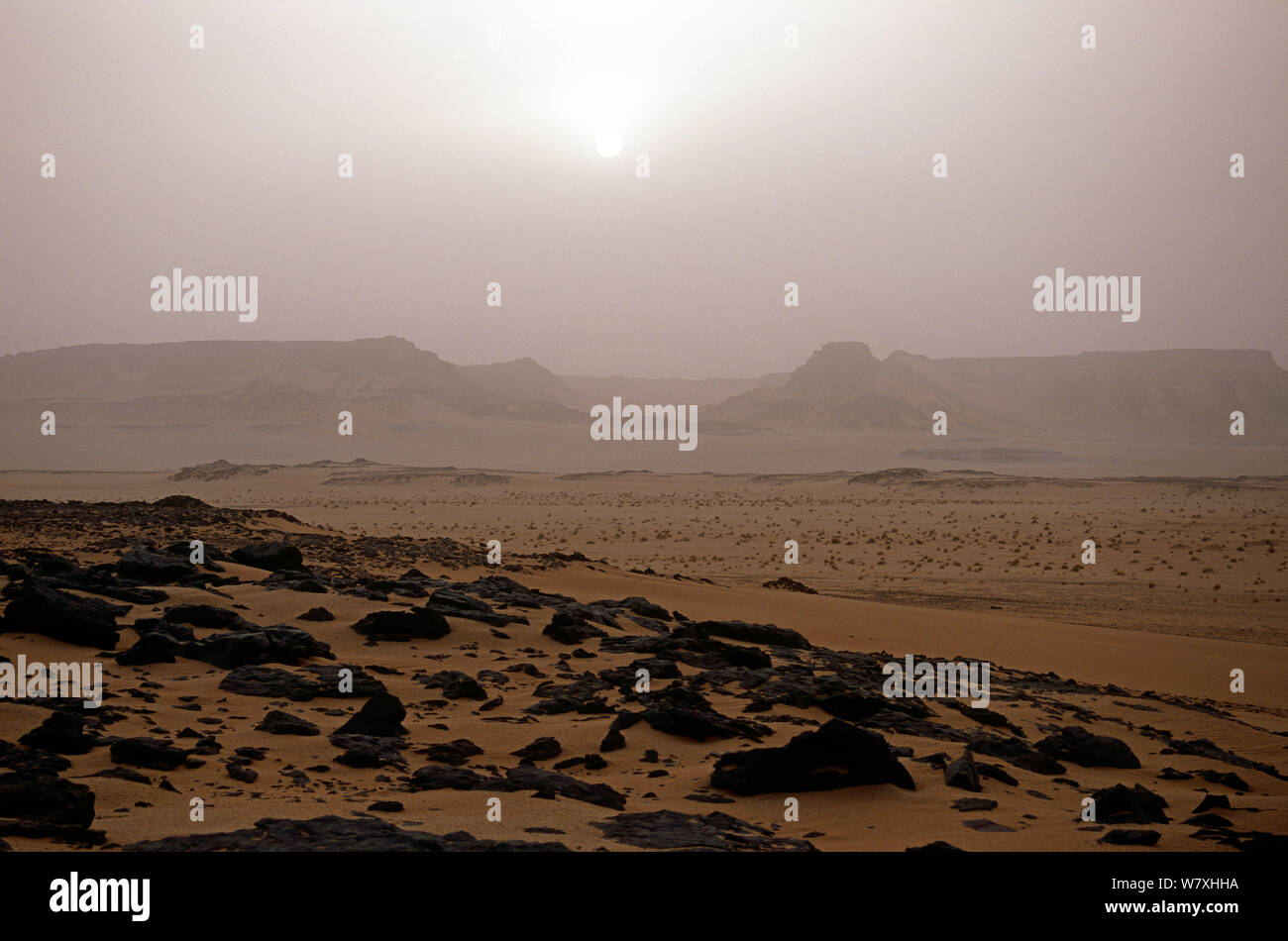 Northern niger landscape hi-res stock photography and images - Alamy