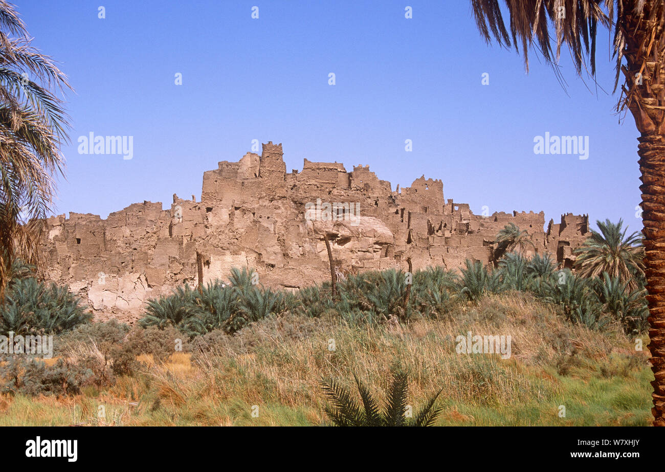 Northern niger fort hi-res stock photography and images - Alamy