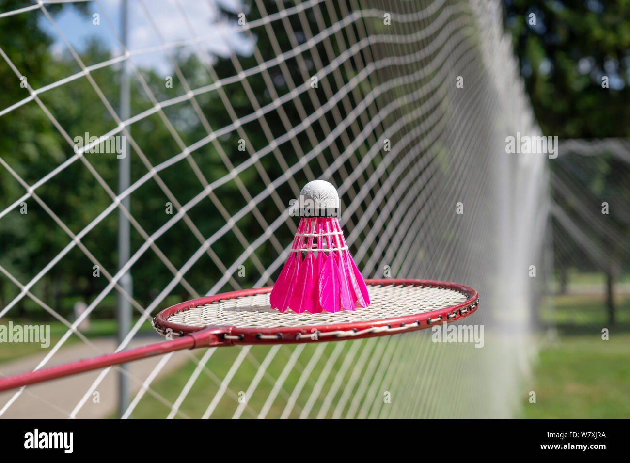 Pink feathered shuttlecock on racket with a badminton net Stock Photo ...