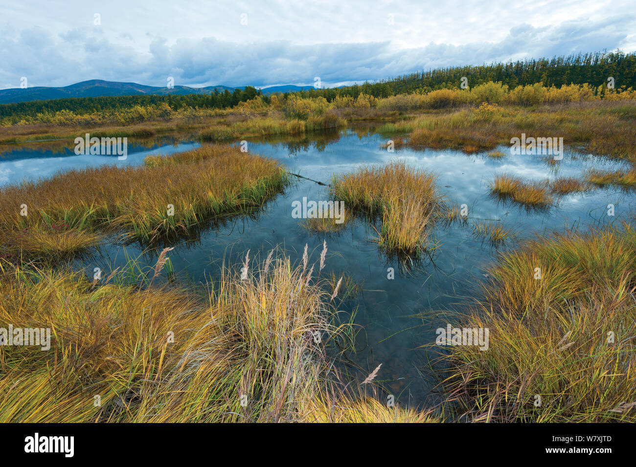 Siberia landscape hi-res stock photography and images - Alamy
