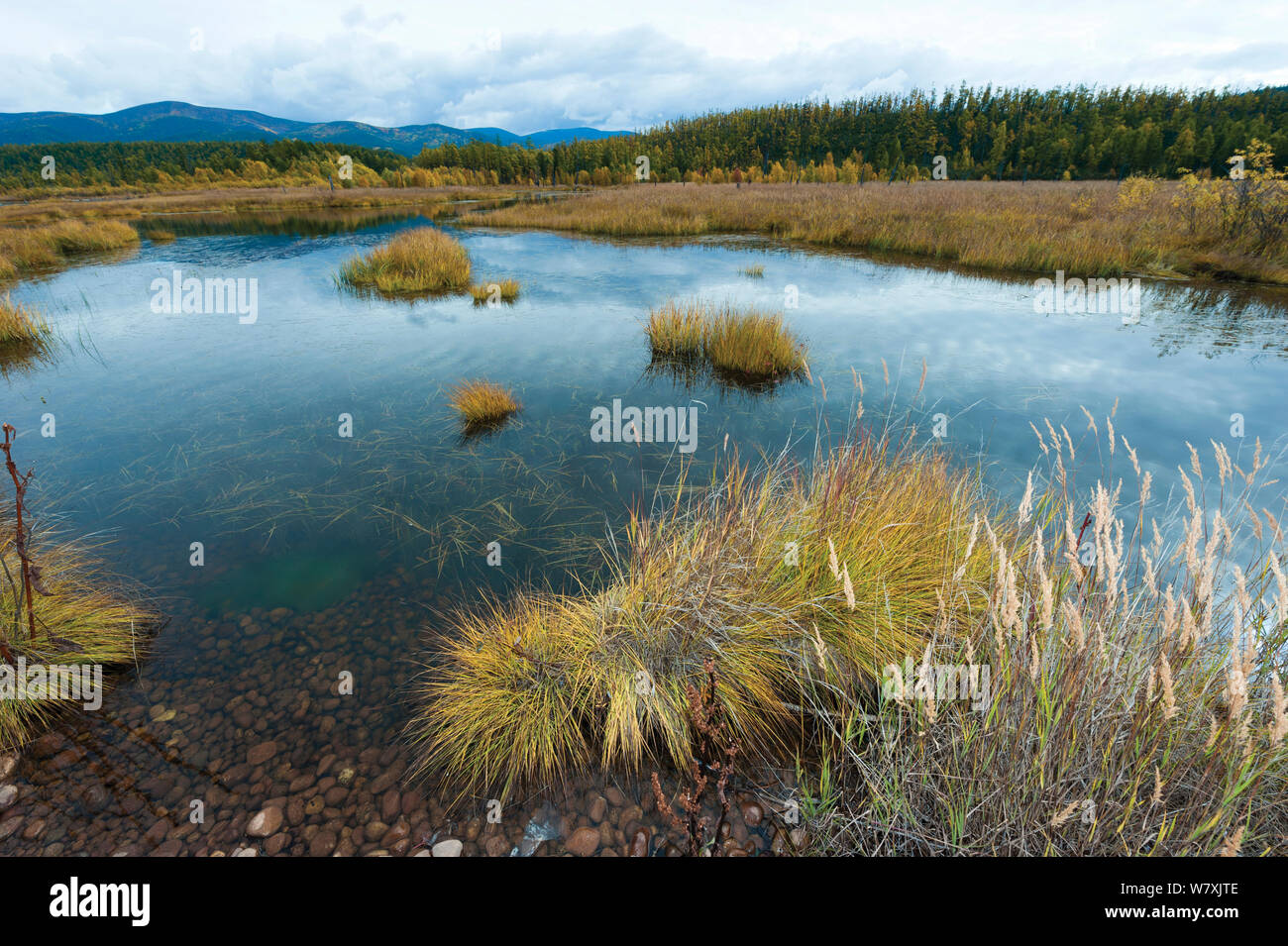 Siberia landscape hi-res stock photography and images - Alamy