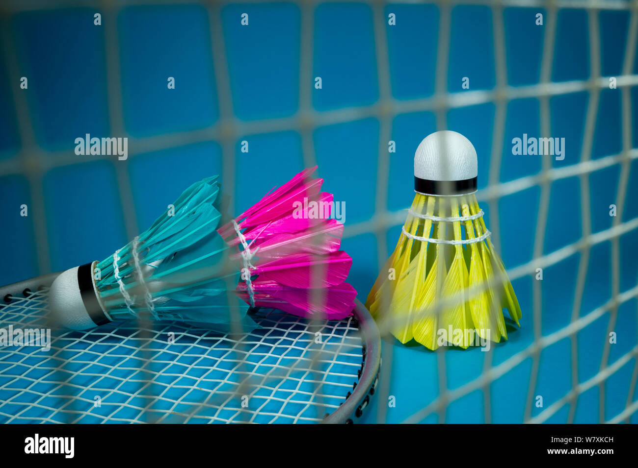 Colorful feathered shuttlecocks in blue, yellow and pink with a ...