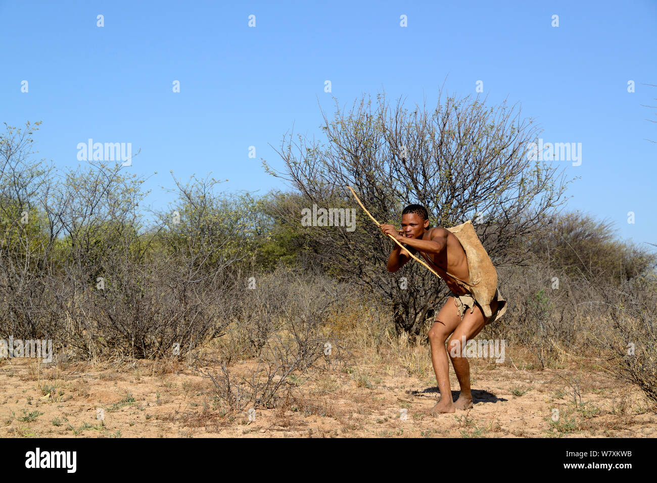 Bushman hunting san people traditional hi-res stock photography and ...