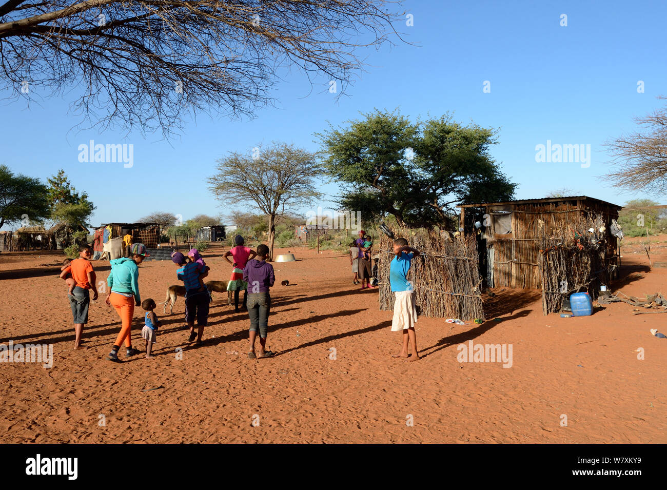 Naro San Bushmen settlement with wooden huts. Kalahari, D'Kar, Ghanzi ...