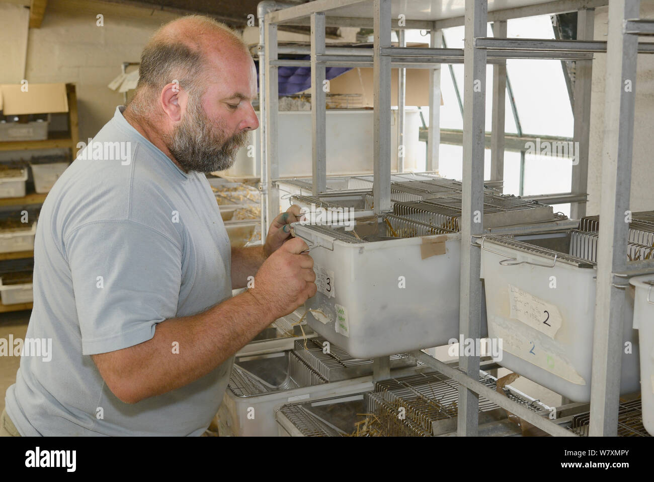 Chordate hi-res stock photography and images - Alamy