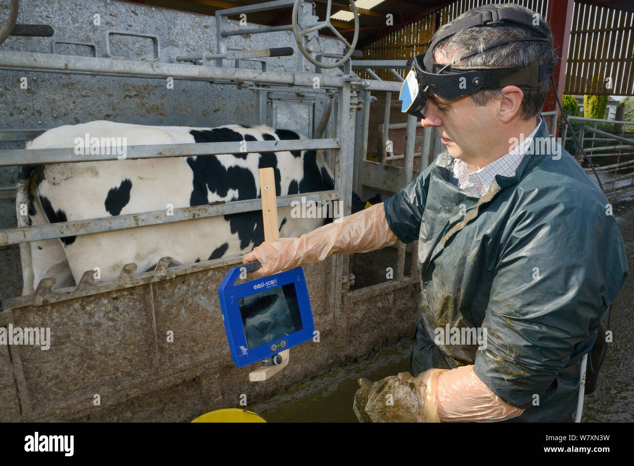 Animal tools and equipment hi-res stock photography and images - Alamy