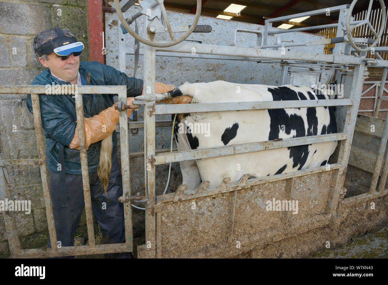 Animal tools and equipment hi-res stock photography and images - Alamy