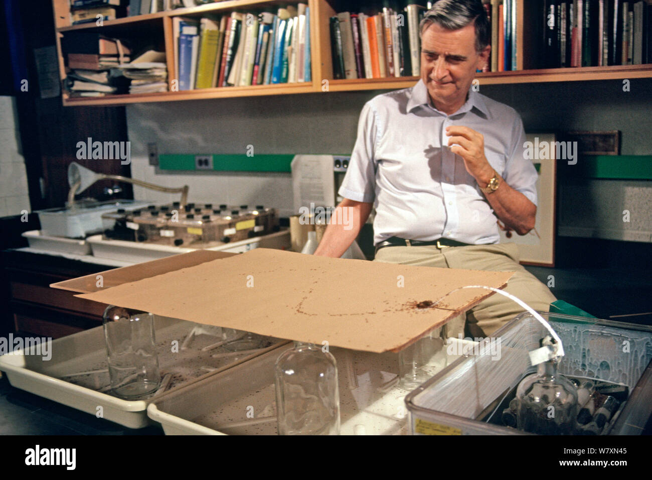 Wildlife presenter insect hi-res stock photography and images - Alamy