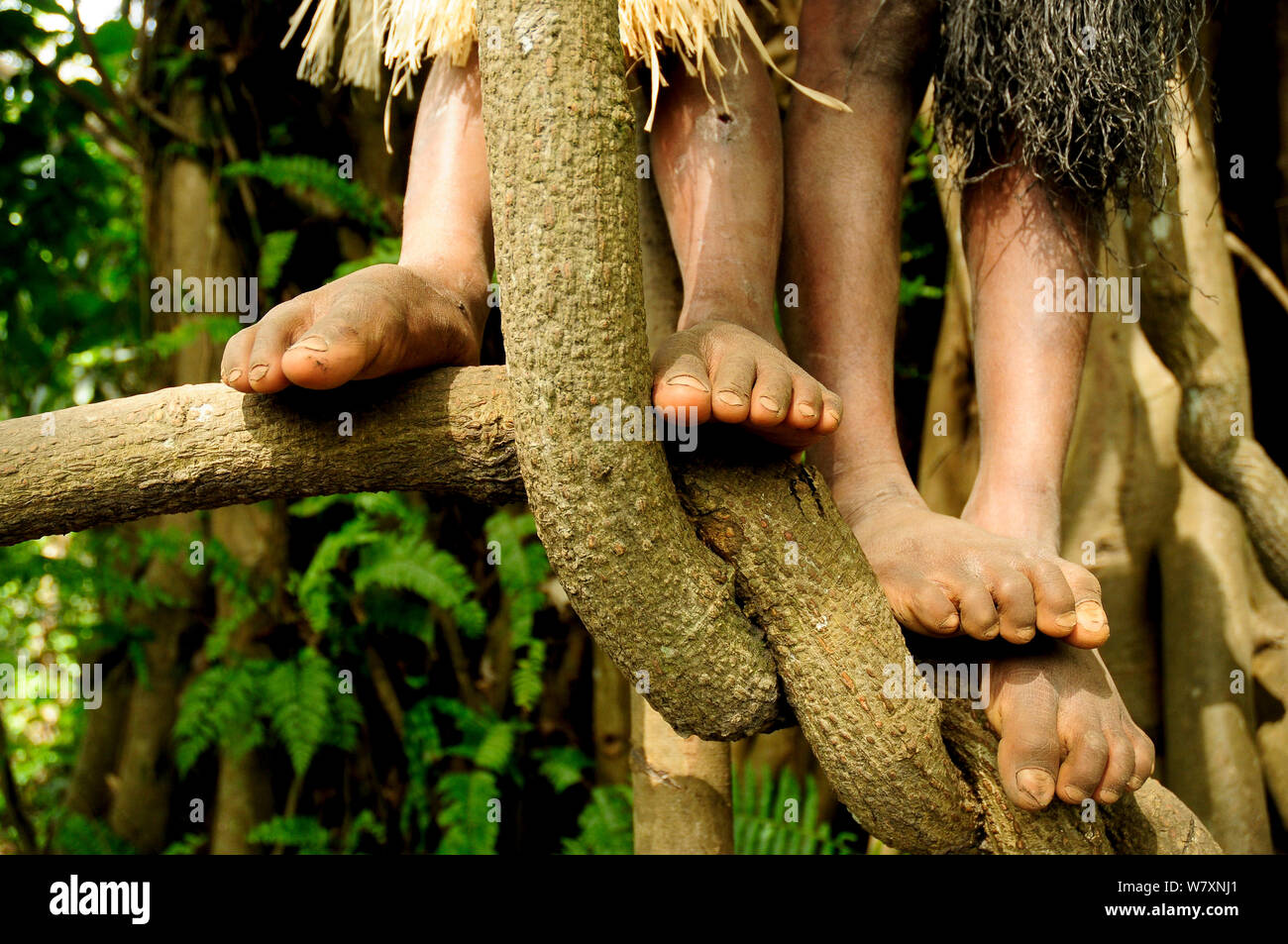 Children climbing tree feet hi-res stock photography and images - Alamy