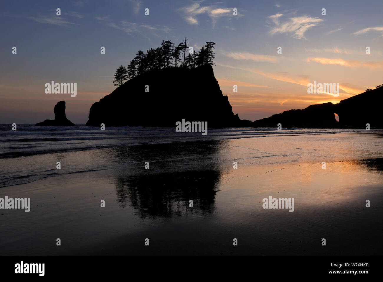 Second beach olympic national park hi-res stock photography and images ...