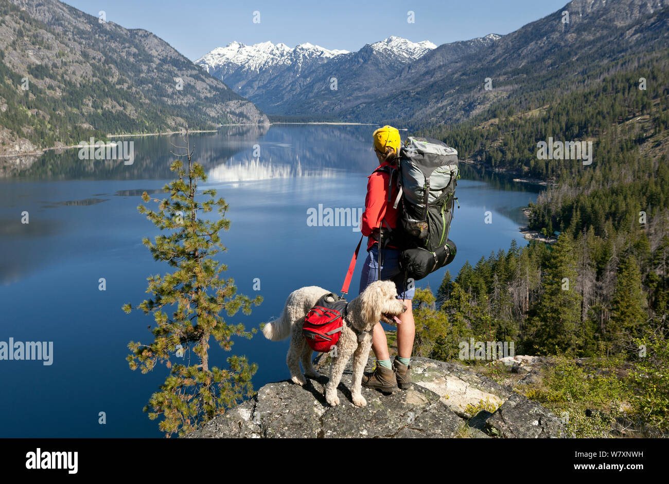 Backpacker with dog looking out over lake on the Lake Chelan Trail ...