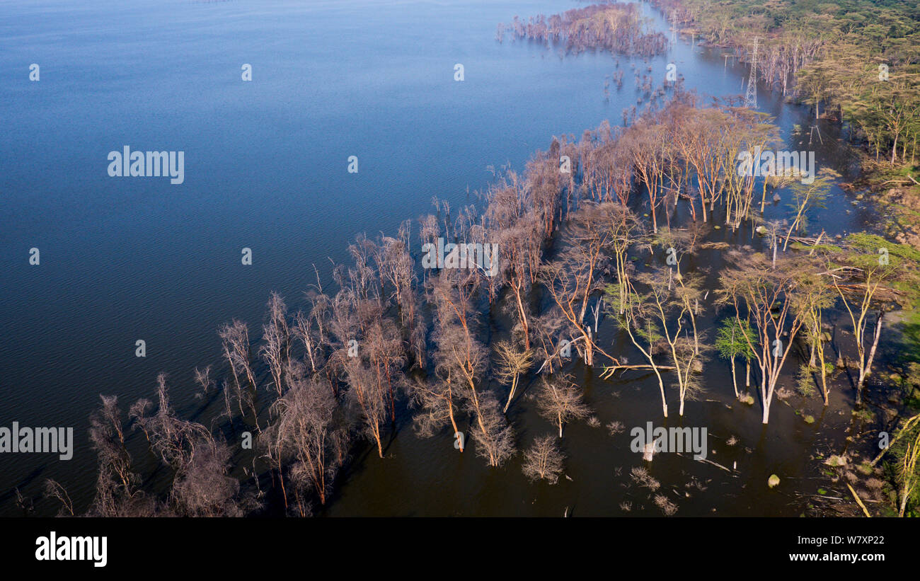 Aerial view of flooded Lake Nakuru after the deforestation of the Mau ...