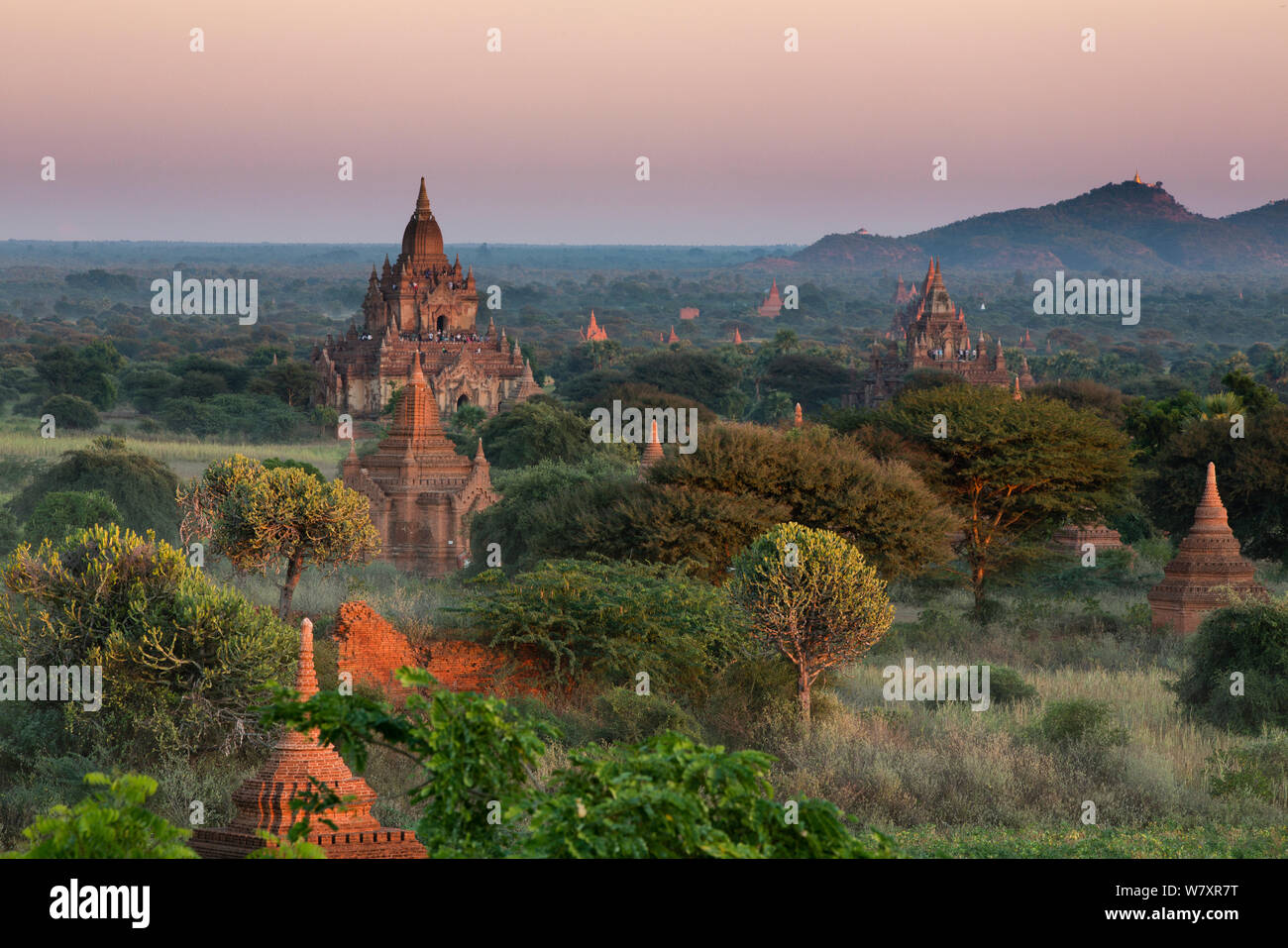 Temples of Bagan at dawn, Myanmar, November 2012 Stock Photo - Alamy