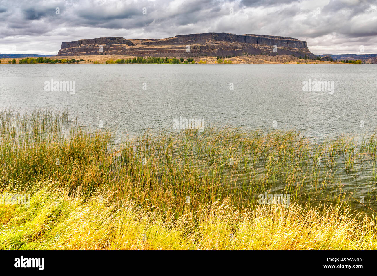 Steamboat Rock, basalt butte over Banks Lake, Steamboat Rock State Park ...
