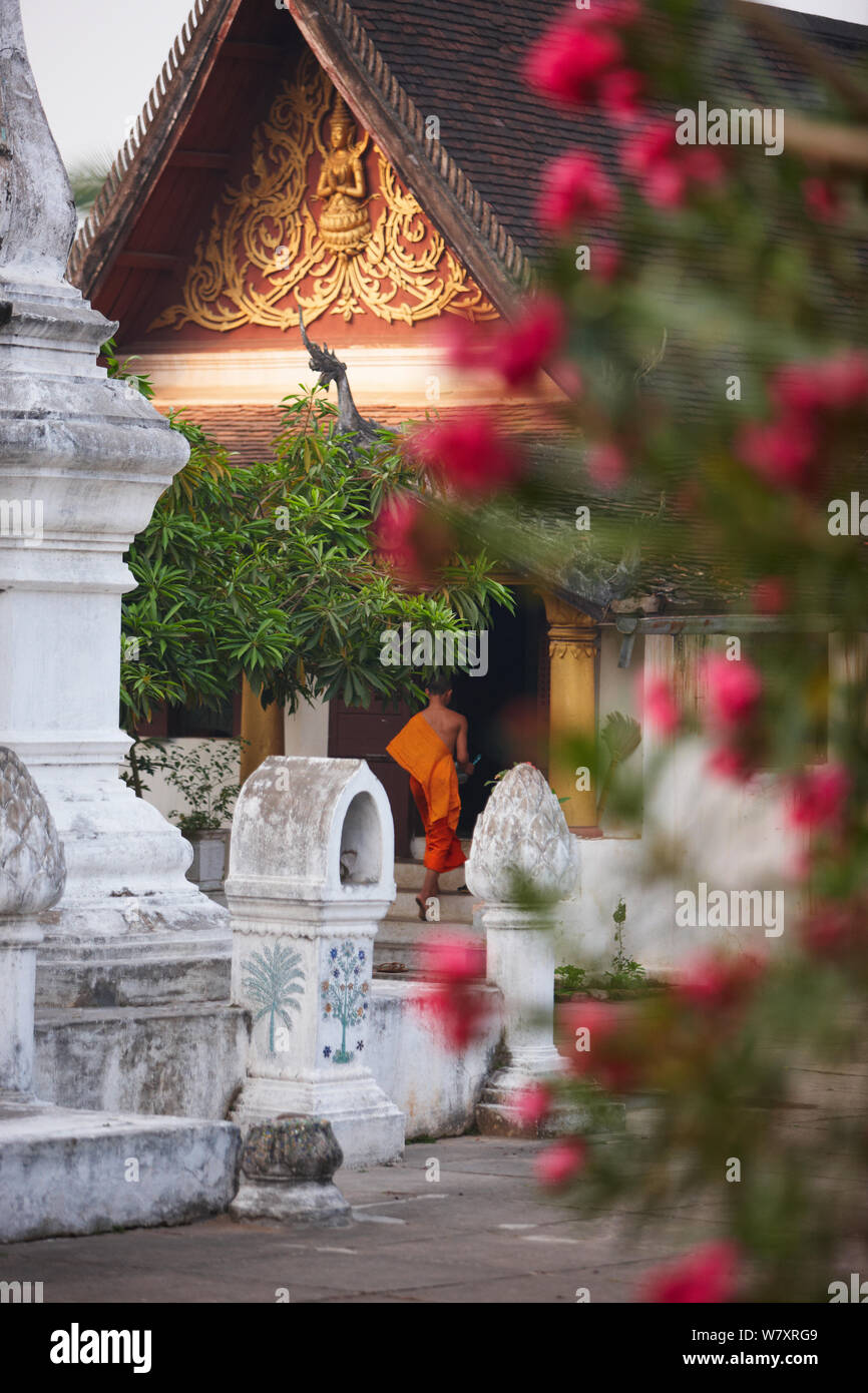 Wat Khili temple, with Buddhist monk in the entrance, Luang Prabang ...