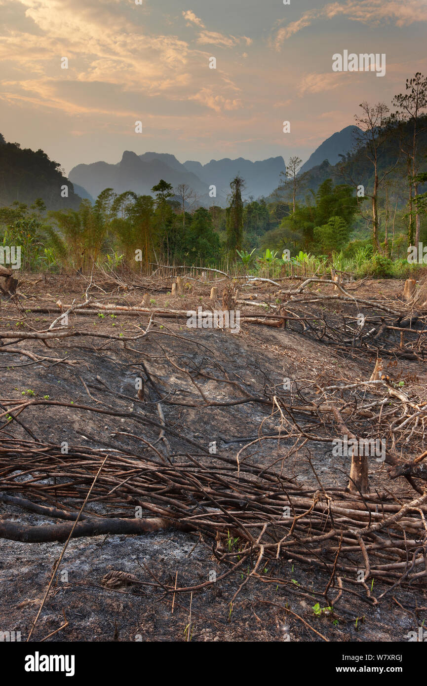 Slash and burn deforestation near Vang Vieng, Laos, March 2009 Stock ...
