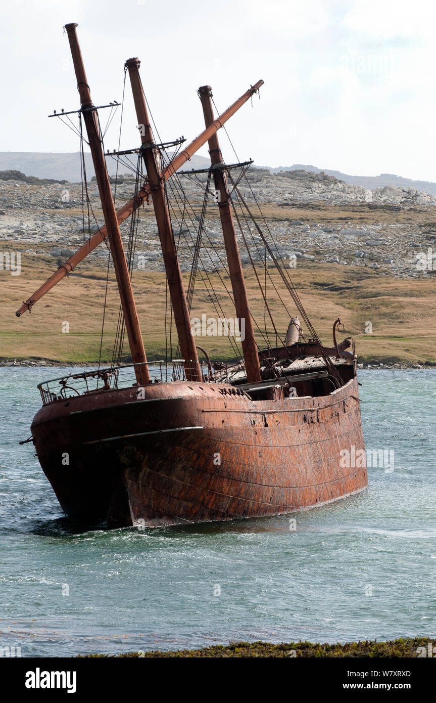 Lady Elizabeth shipwreck, Whale Bone Cove, Falkland Islands. The ship ...