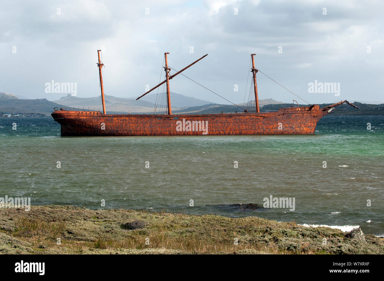 Lady elizabeth ship wreck hi-res stock photography and images - Alamy