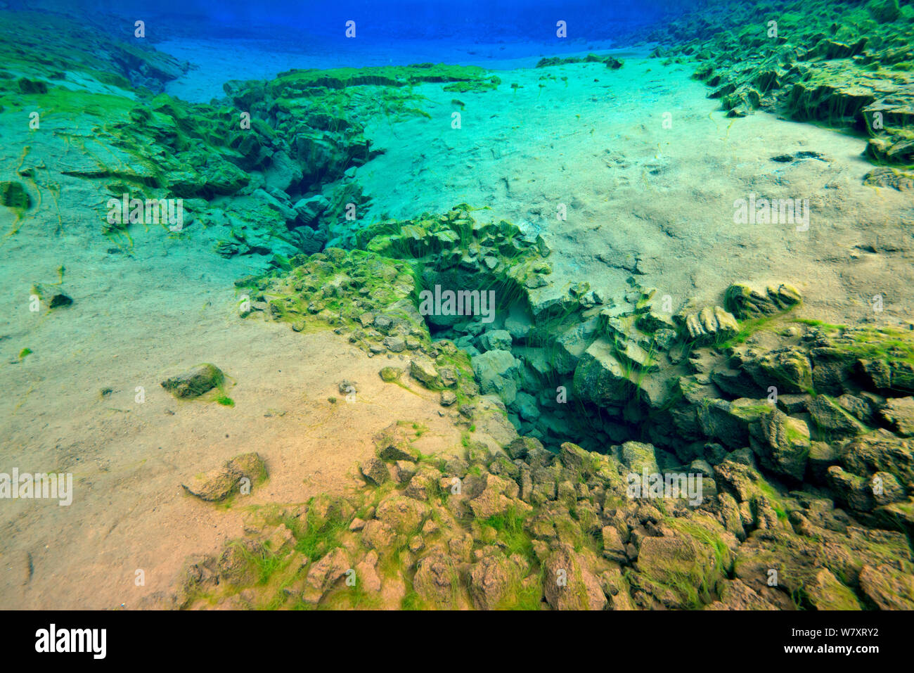 The 'Blue Lagoon' at the Silfra Canyon where substrates are separated ...