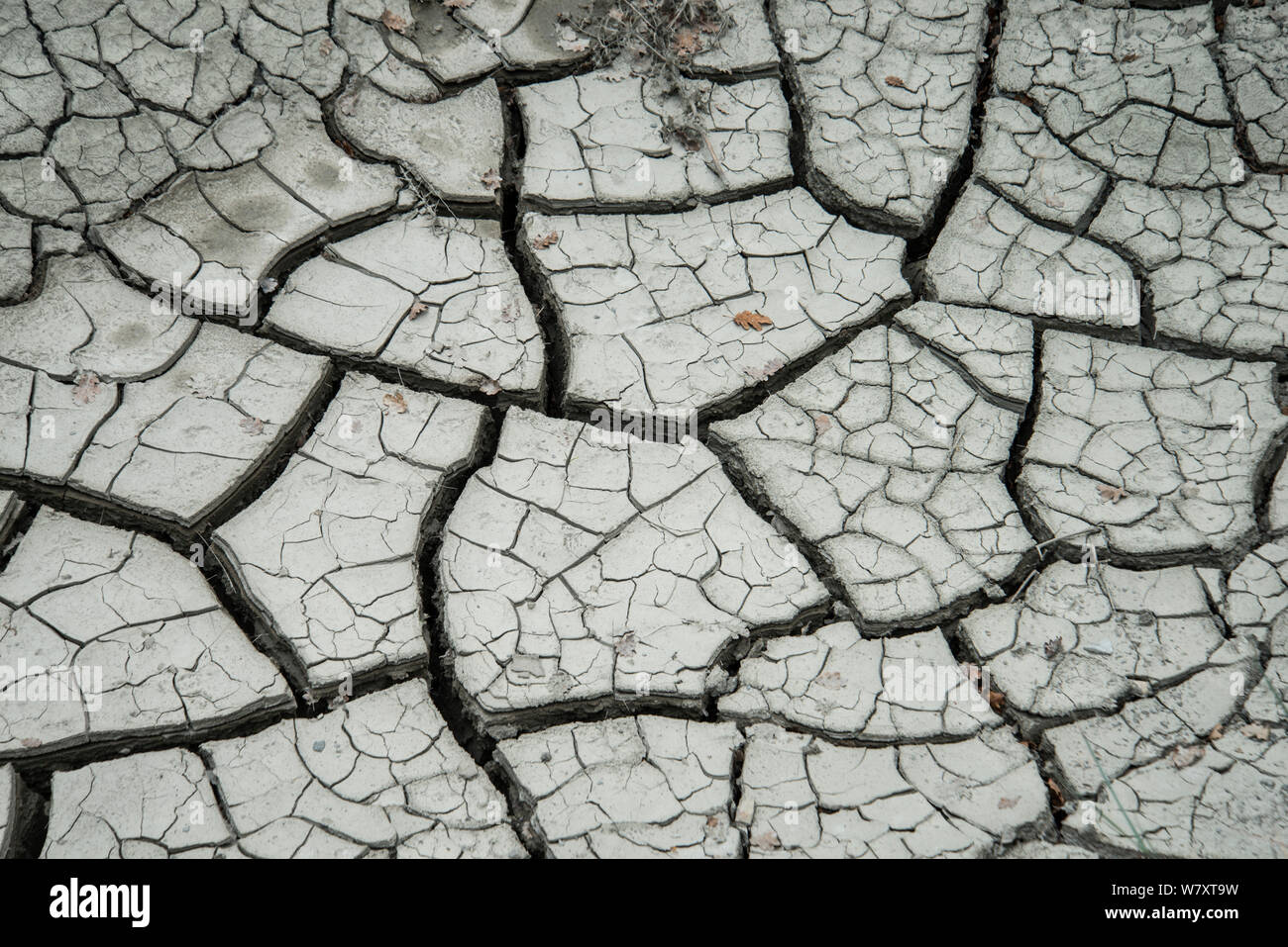 Mud cracks in drying hi-res stock photography and images - Alamy