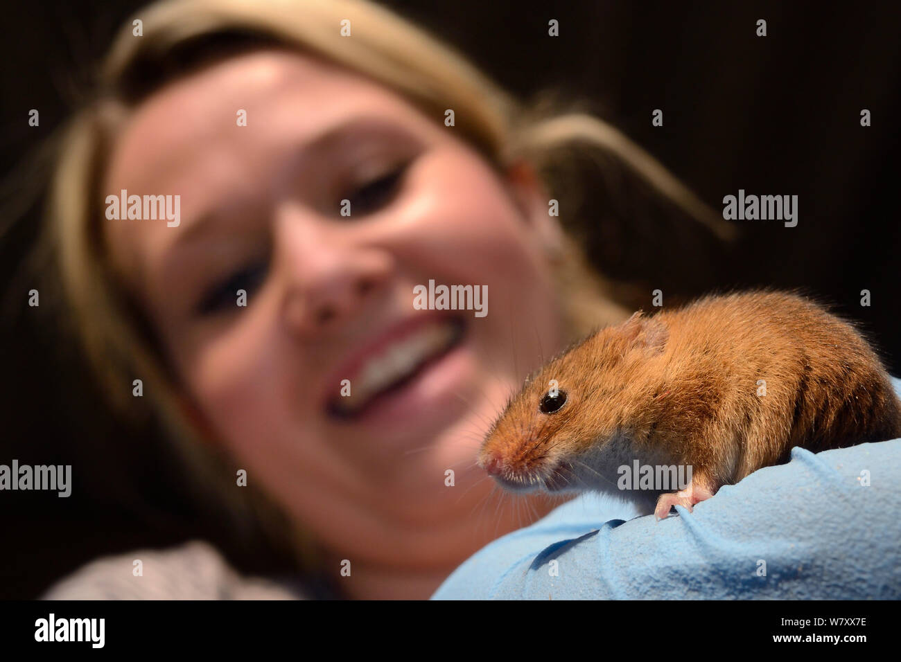 Lifton devon hi-res stock photography and images - Alamy