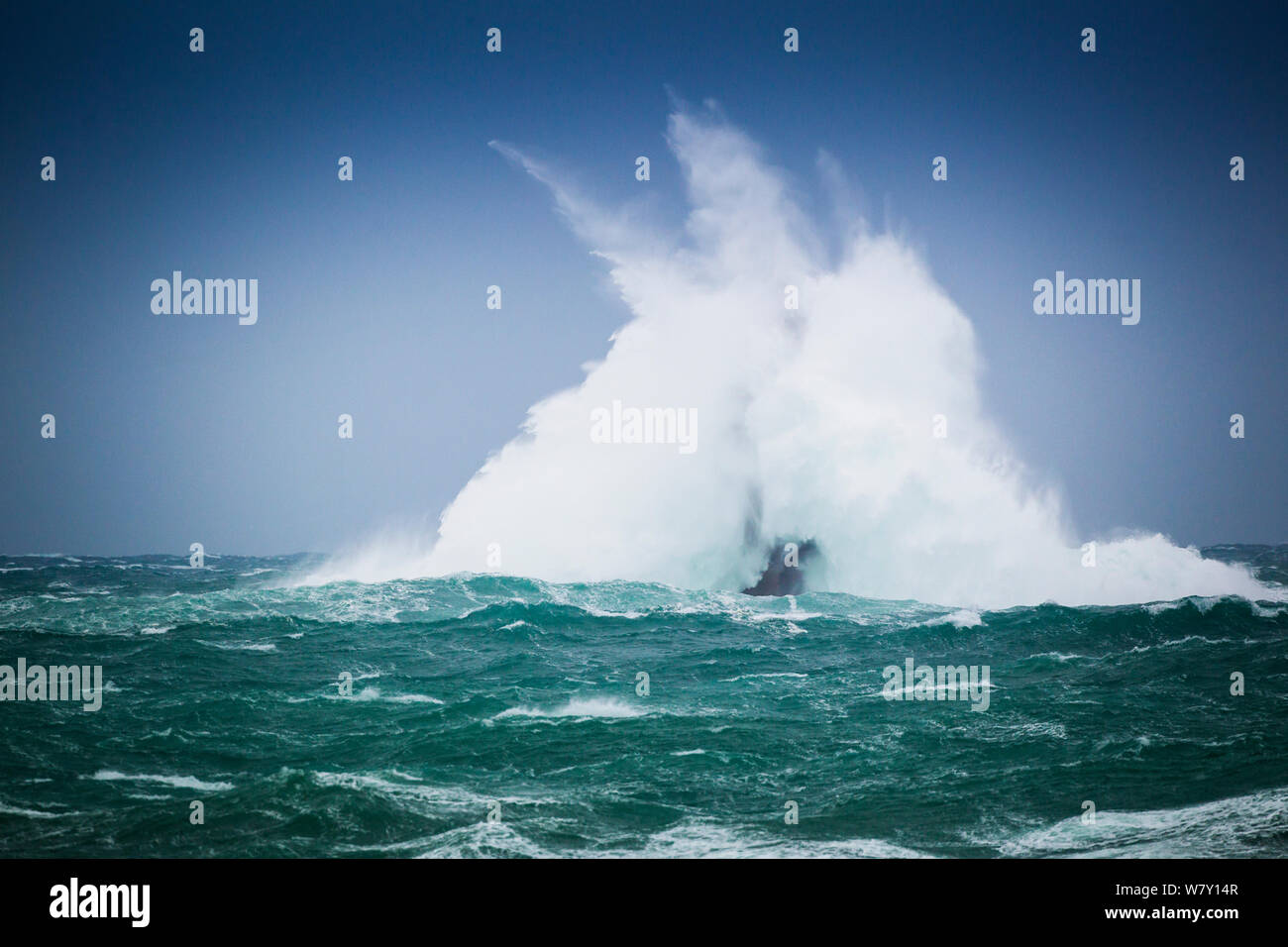 Waves lashing the Four Lighthouse during winter storm, Northern ...