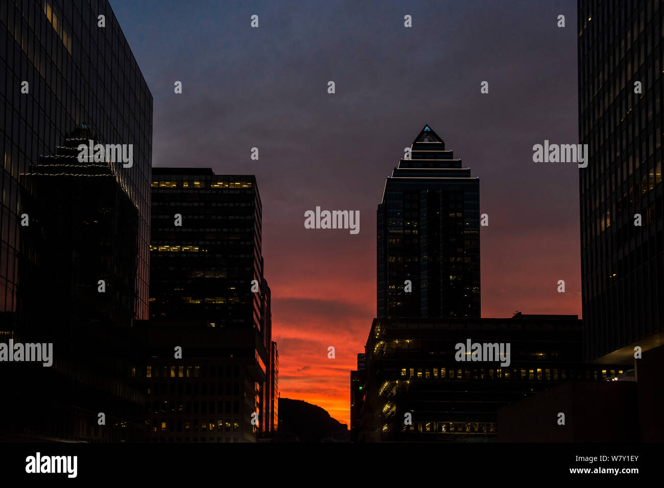 Amazing sunset view of buildings and Mount Royal in the back in ...