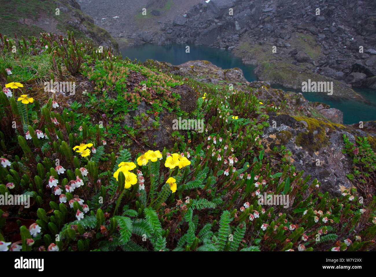 Meli snow mountain national park hi-res stock photography and images ...