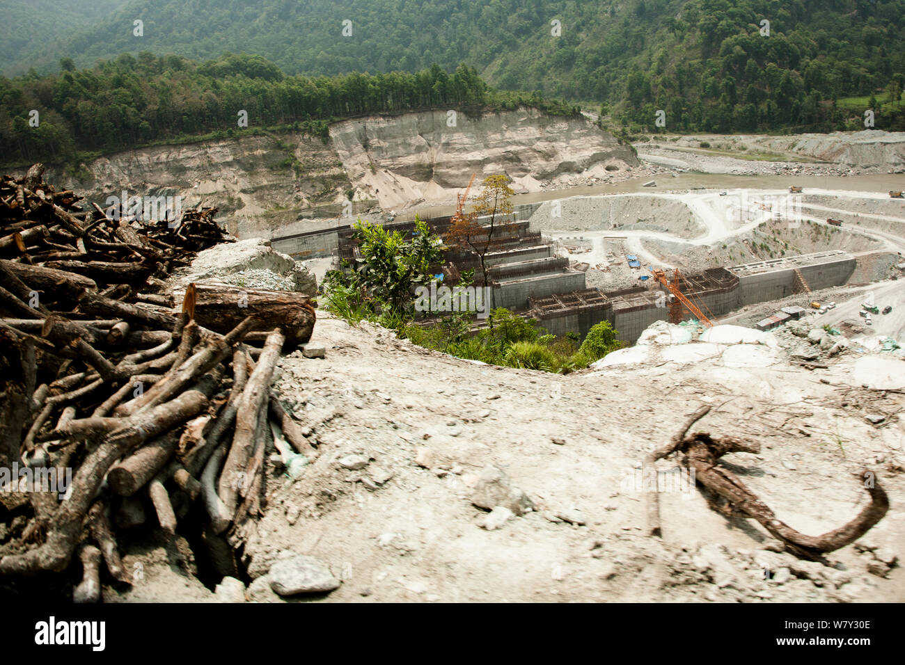 Deforestation india hi-res stock photography and images - Alamy