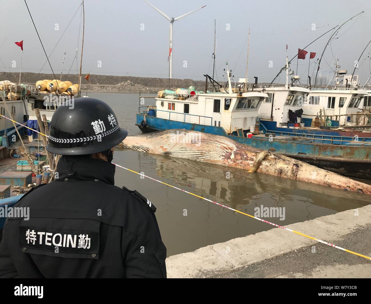 Police officer stands cordoned hi-res stock photography and images - Alamy
