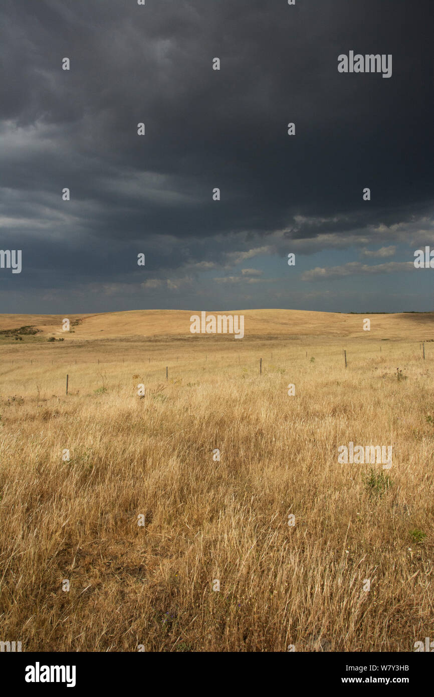 Expansive plain hi-res stock photography and images - Alamy