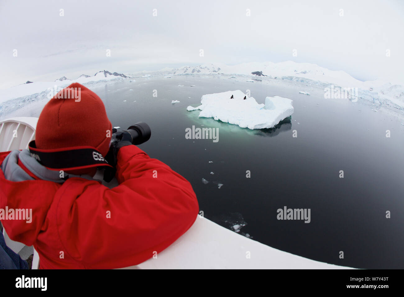 Adelaide island antarctica hi-res stock photography and images - Alamy
