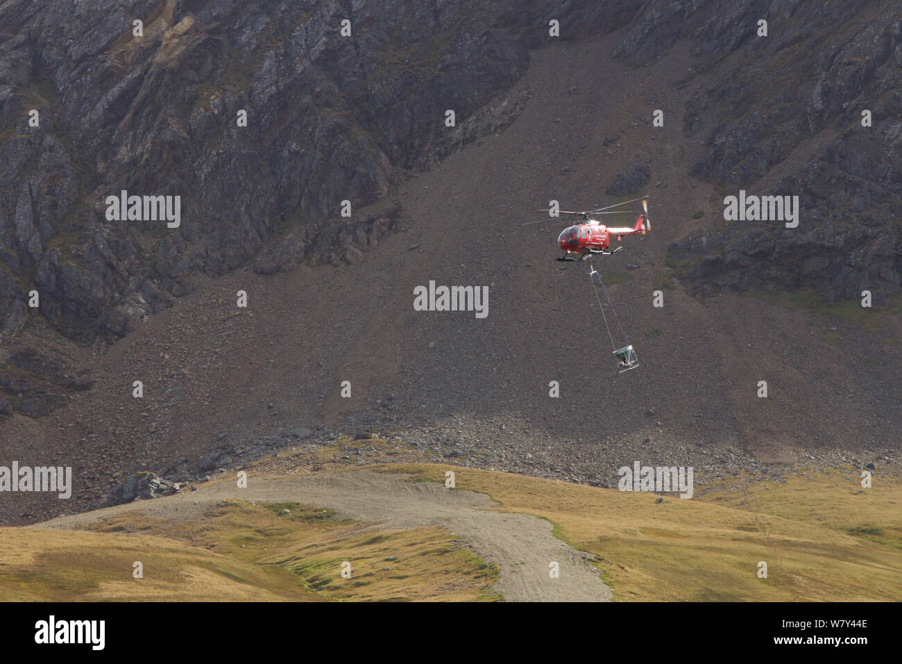 Helicopter distributing rat poison, the beginning of a rat eradication ...