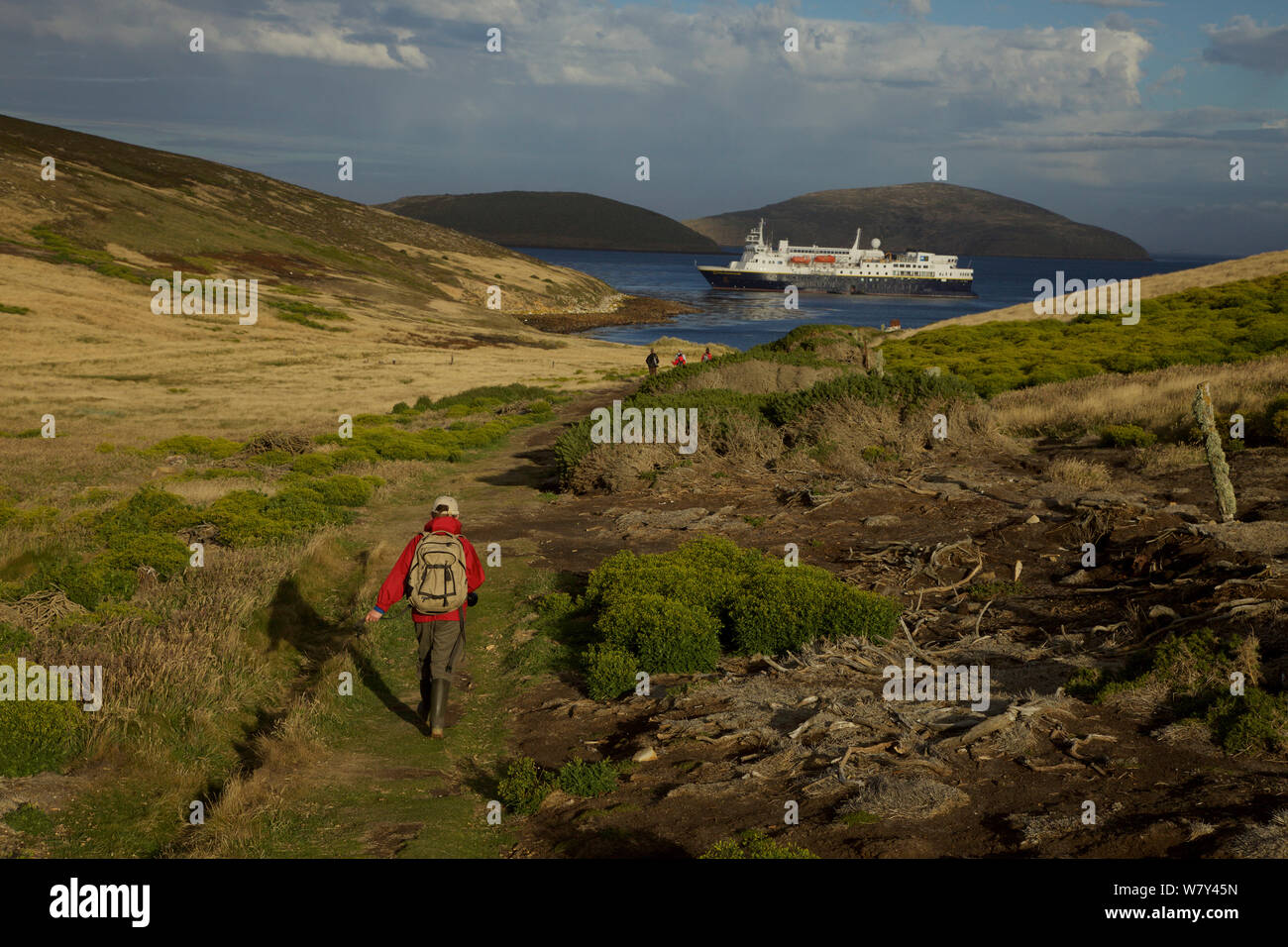 National Geographic Explorer walking along path on New Island, Falkland ...
