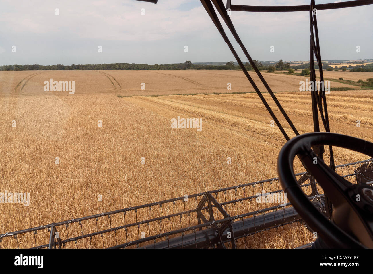 Cheltenham, Gloucestershire, England, UK, July 2019. Combine harvester ...