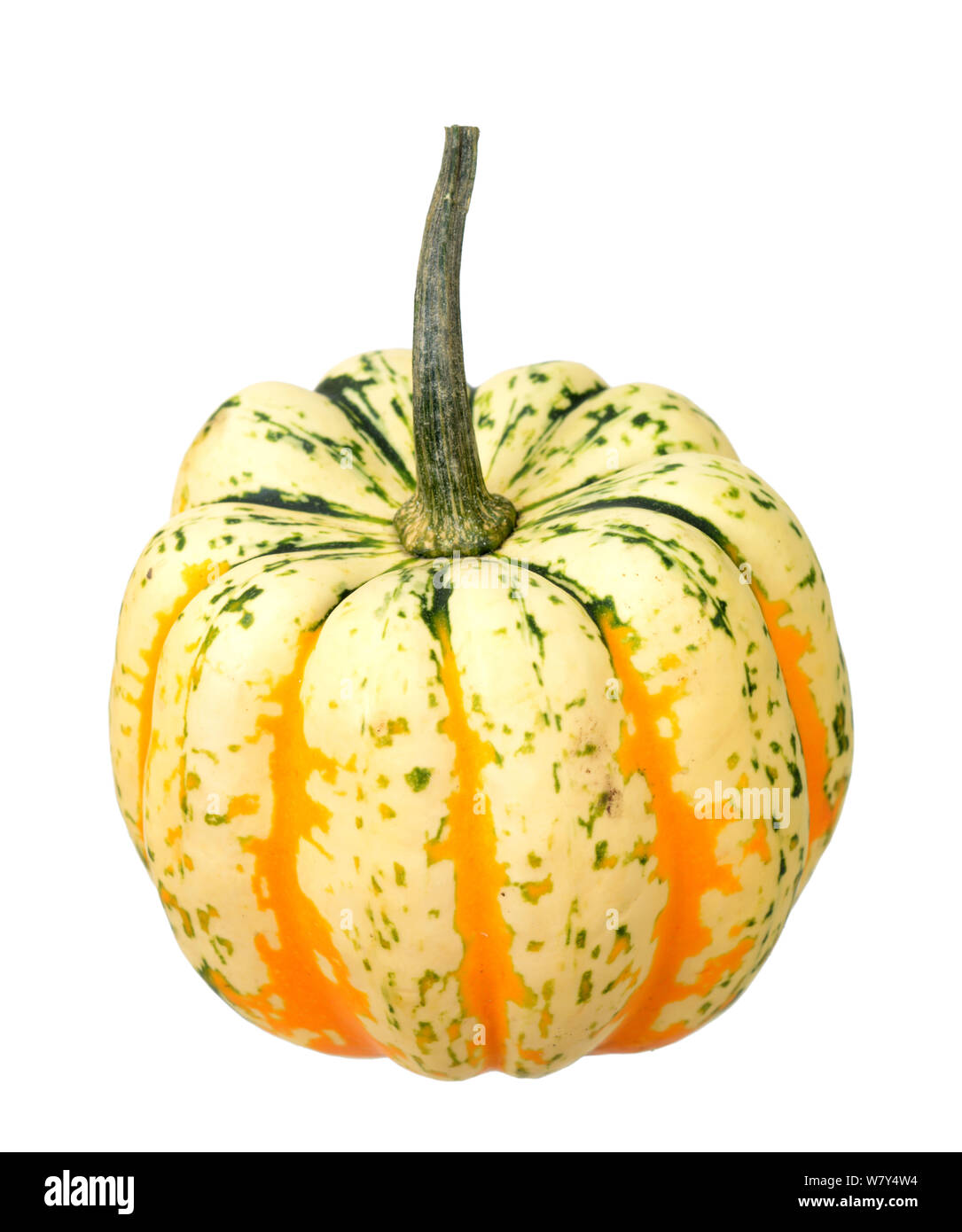 single mini pumpkin isolated on white background Stock Photo - Alamy