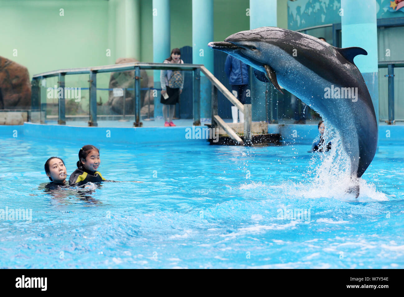 Chinese autistic girl Chenchen interacts with a dolphin under the help ...