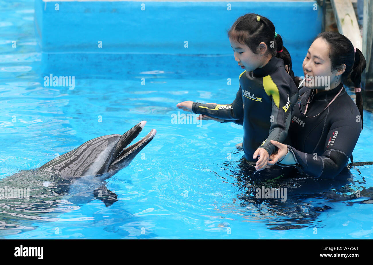 Chinese autistic girl Chenchen interacts with a dolphin under the help ...