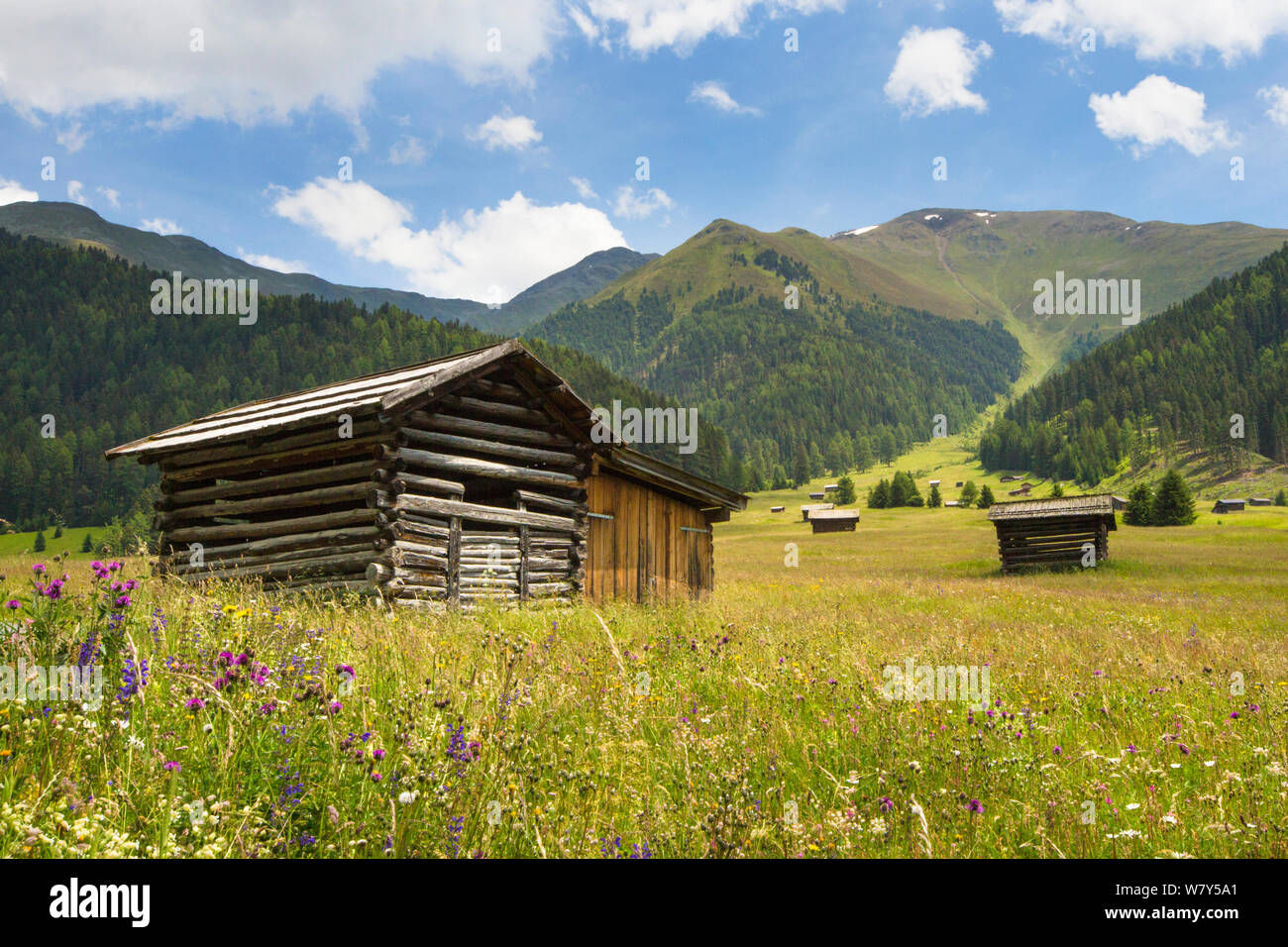 Barns hi-res stock photography and images - Alamy