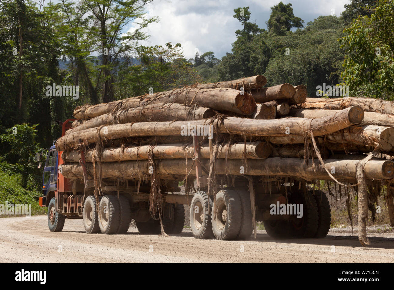Timber trucks hi-res stock photography and images - Alamy