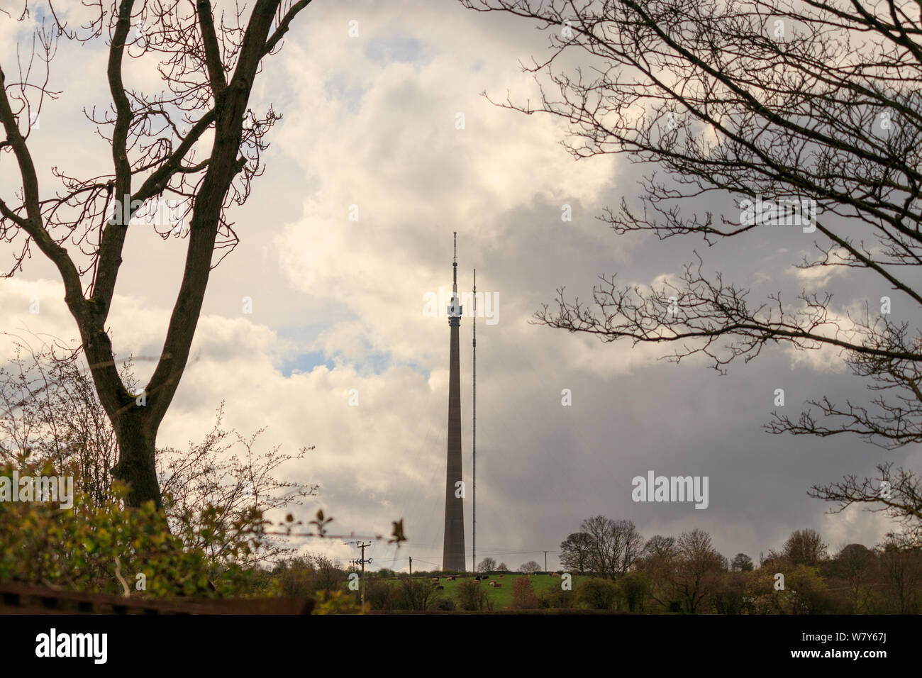 View of Emley Moor television transmission mast and its temporary tower ...