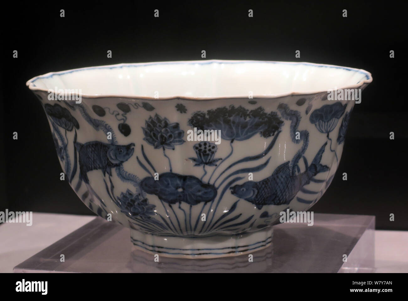 Fish pind hi-res stock photography and images - Alamy