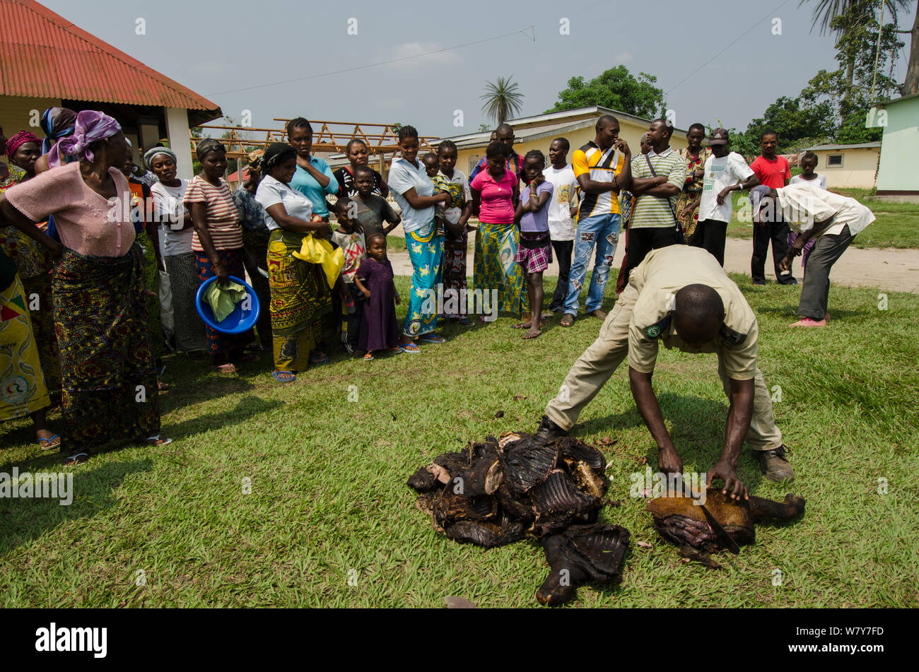 Guard distributing confiscated bushmeat at hospital near Makoua ...