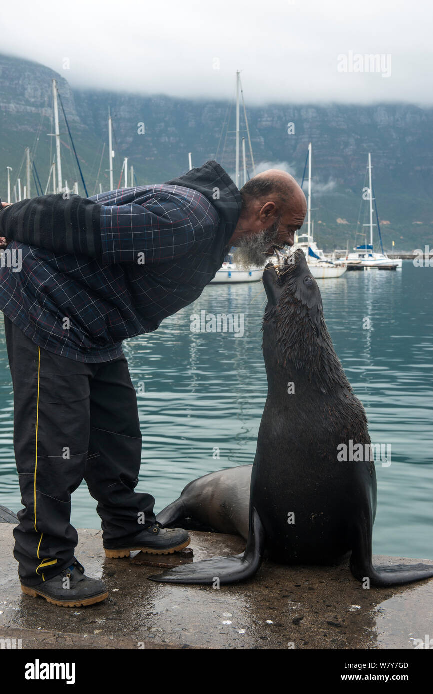 Tame fish hi-res stock photography and images - Alamy