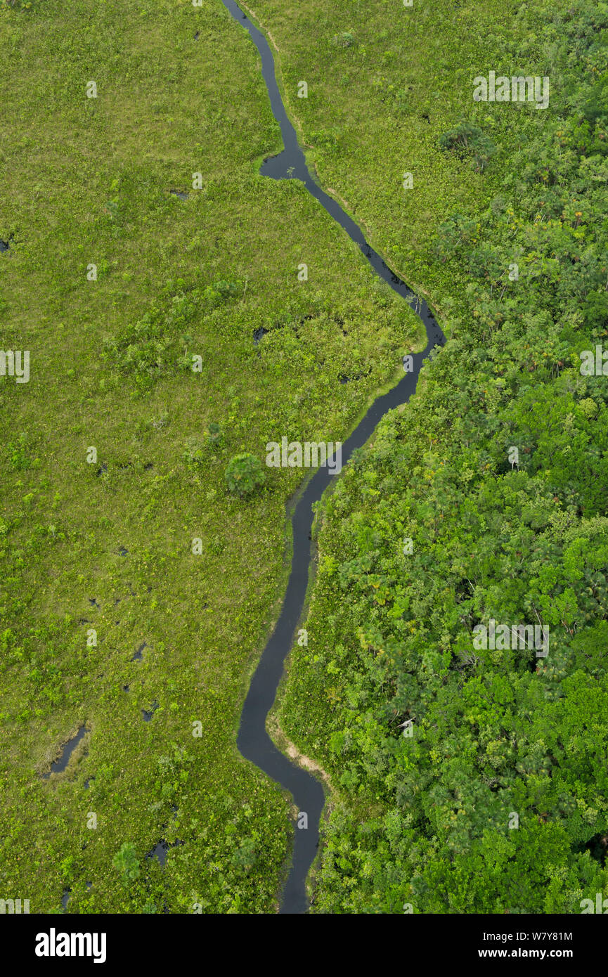 Aerial view of blackwater swamp, Yasuni National Park, Amazon ...